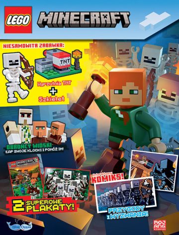LEGO® Minecraft™ | Blue Ocean Entertainment Polska